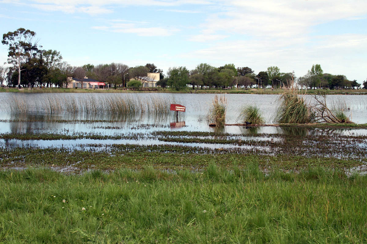 Parque Delfín Pérez: Bajó el agua, pero todavía hay sectores anegados ...