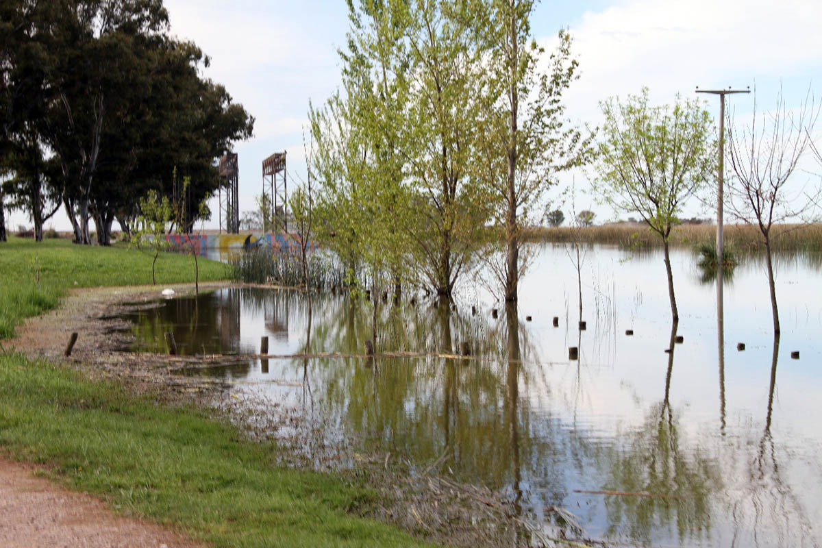 Parque Delfín Pérez: Bajó el agua, pero todavía hay sectores anegados ...