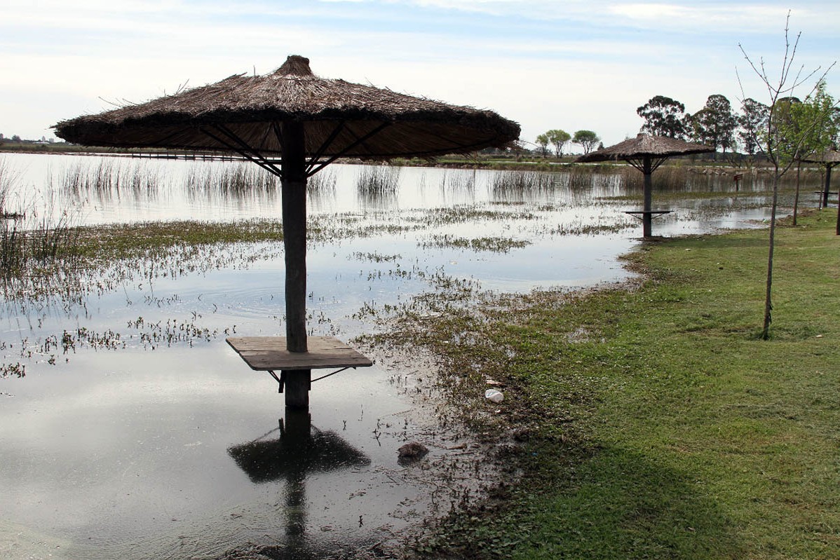 Parque Delfín Pérez: Bajó el agua, pero todavía hay sectores anegados ...