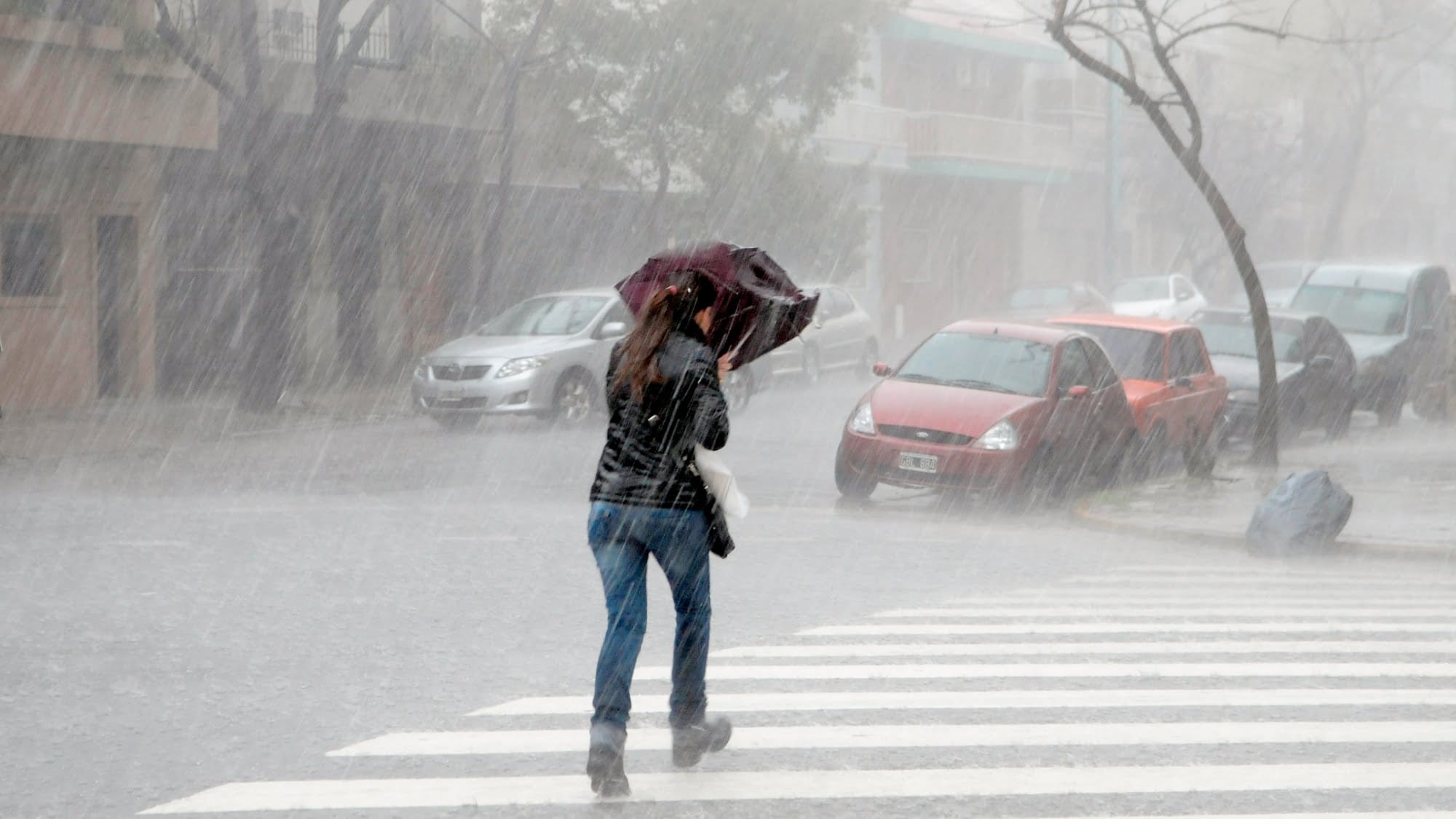 La Pampa en alerta «amarillo» por tormentas, lluvias fuertes y ráfagas ... La Pampa en alerta «amarillo» por tormentas, lluvias fuertes y ráfagas ...