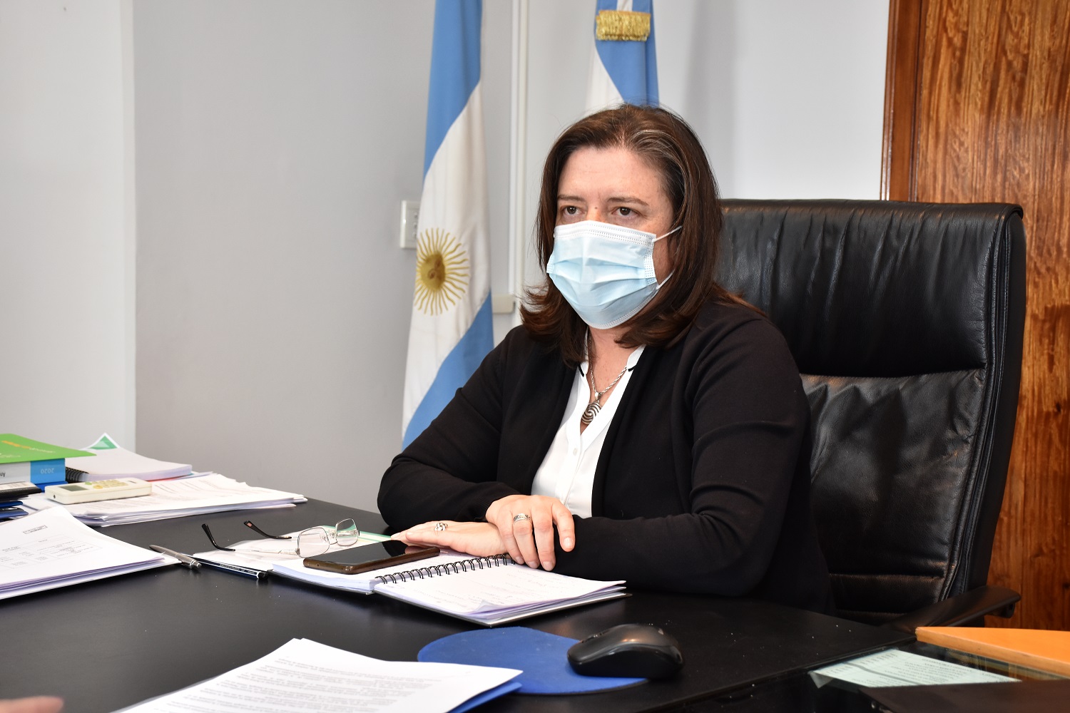 La ministra Fernanda González explicó el modelo económico de La Pampa ...