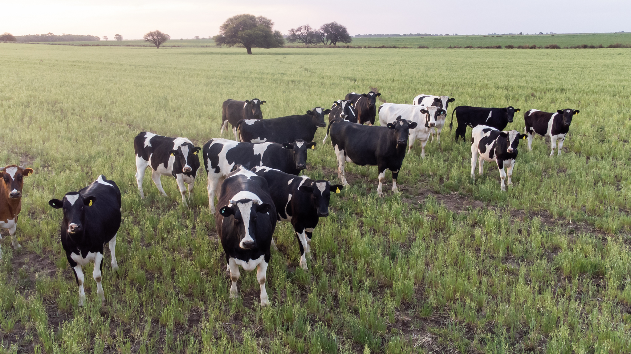 El Gobierno de La Pampa acordó créditos por $400 millones con Nación ... El Gobierno de La Pampa acordó créditos por $400 millones con Nación ...