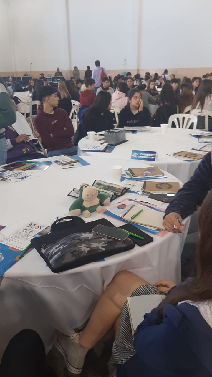 “Aprender a gobernar”: la juventud involucrada en la lucha contra el ...