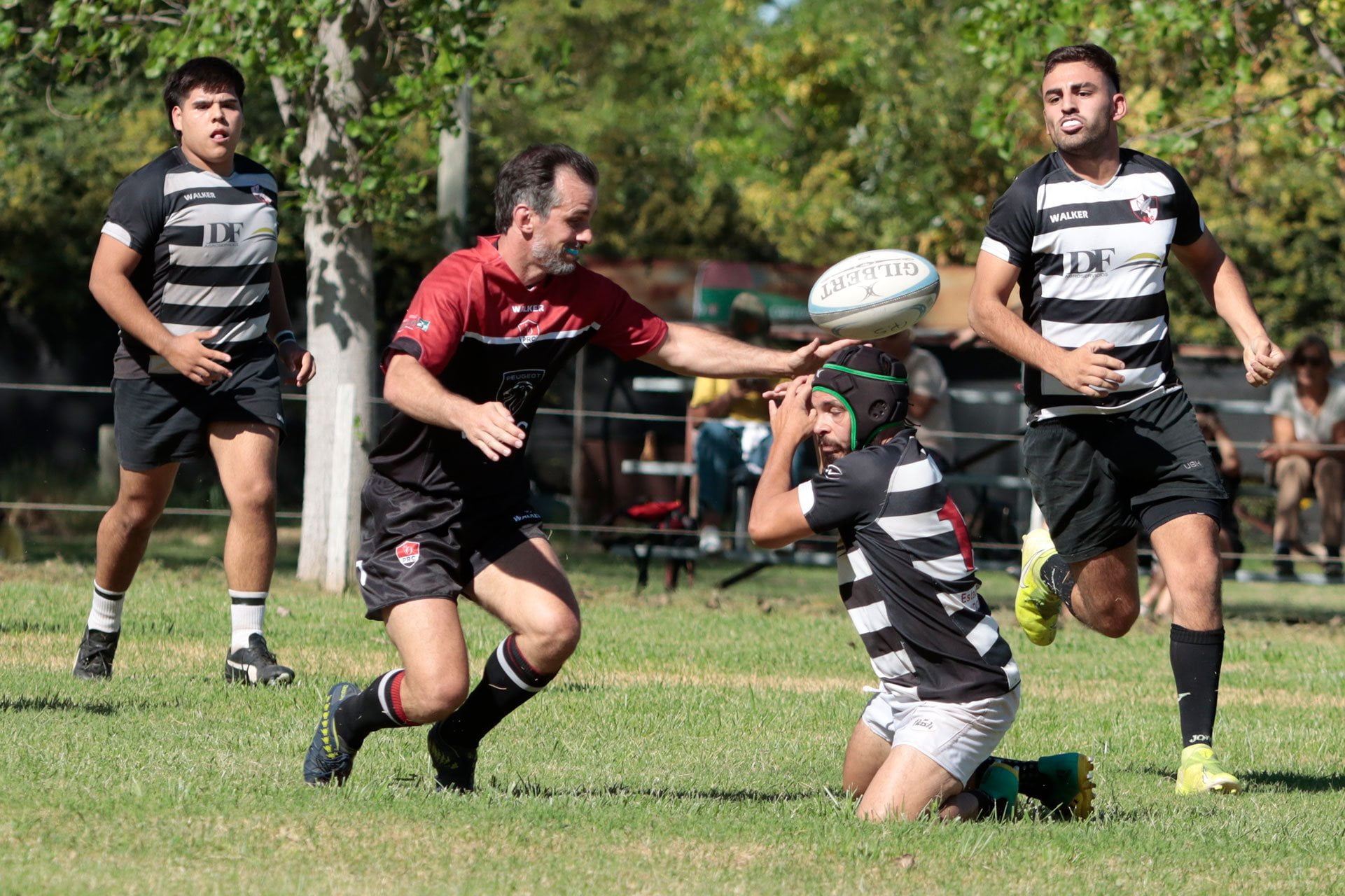 Pico Rugby debuta en el Regional con el clásico pampeano ante Santa ...
