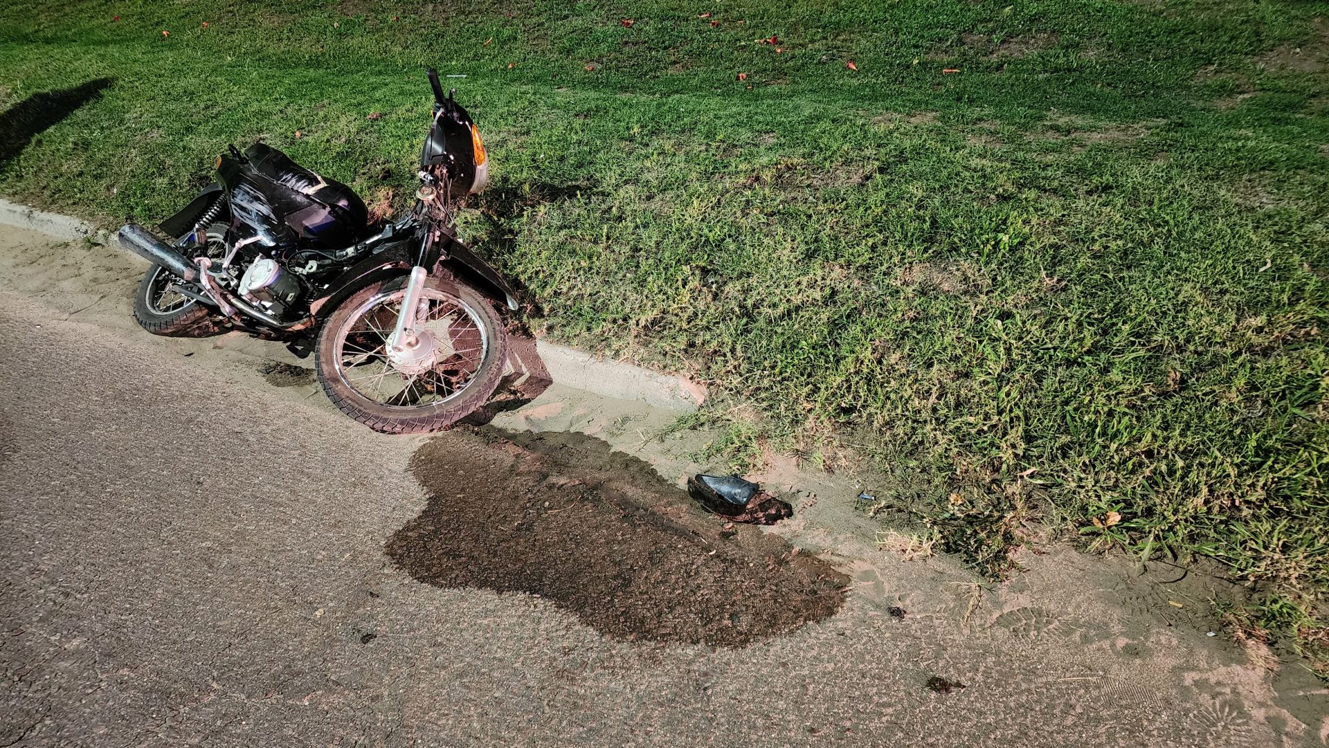 Choque con un perro: dos jóvenes hospitalizados tras accidente en moto ...