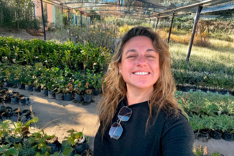 La primavera y sus plagas: Jimena Asquini brinda una guía completa para ...